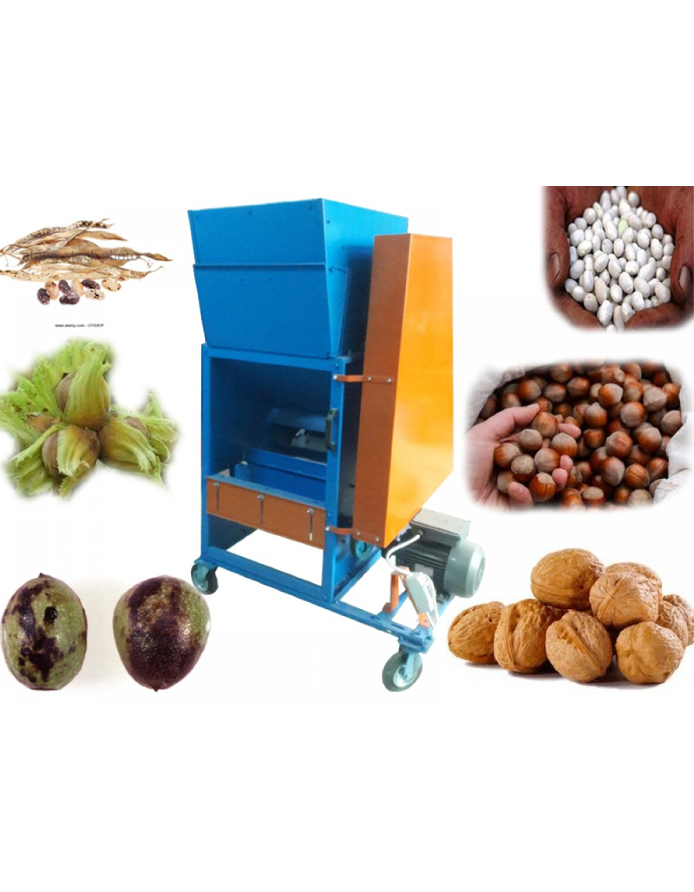 walnut sheller